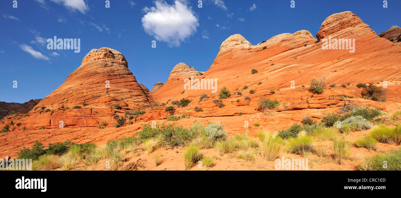 Coyote Buttes rock Formation, auf dem Weg zum The Wave Sandsteinfelsen ...