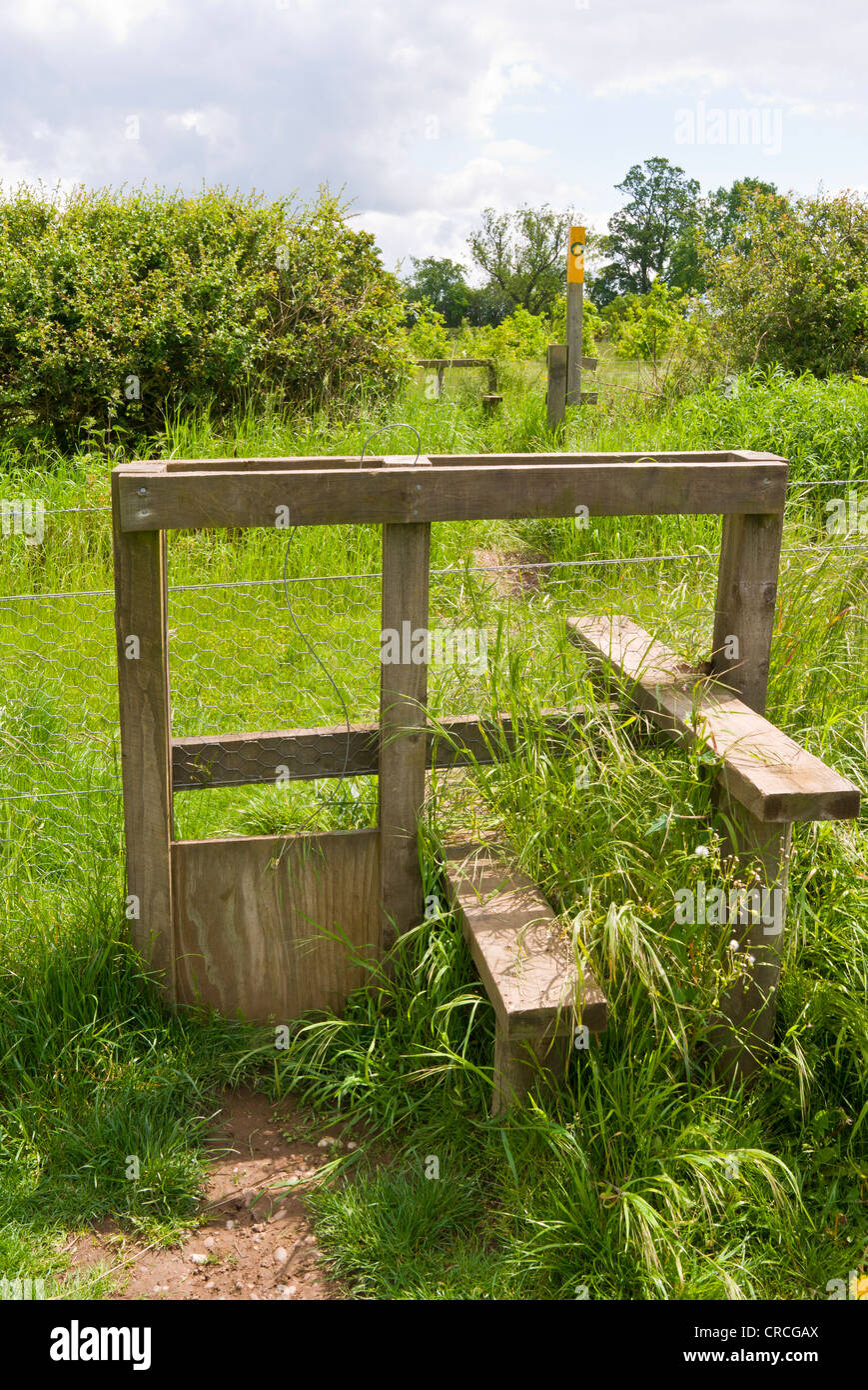 Hund mit stil -Fotos und -Bildmaterial in hoher Auflösung – Alamy