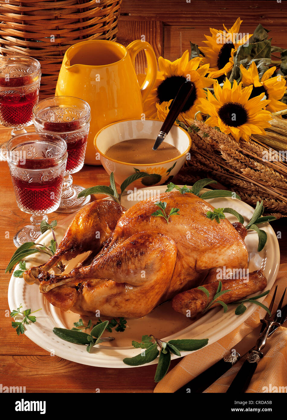 Us truthahn -Fotos und -Bildmaterial in hoher Auflösung – Alamy