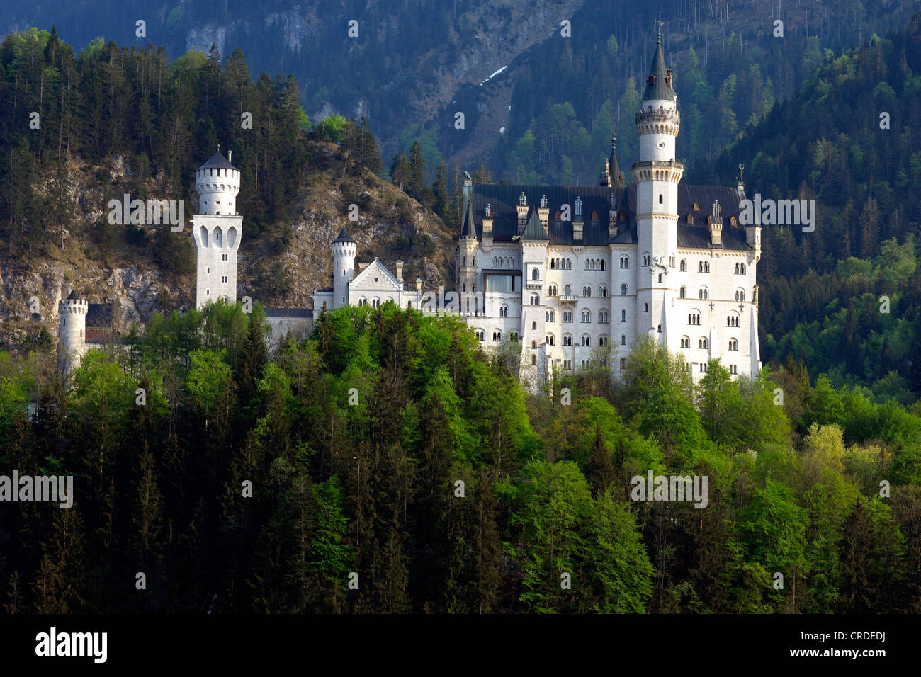 König ludwig -Fotos und -Bildmaterial in hoher Auflösung - Seite 2 - Alamy