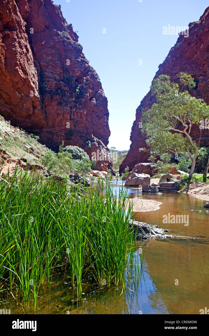 Simpsons gap waterhole -Fotos und -Bildmaterial in hoher Auflösung – Alamy