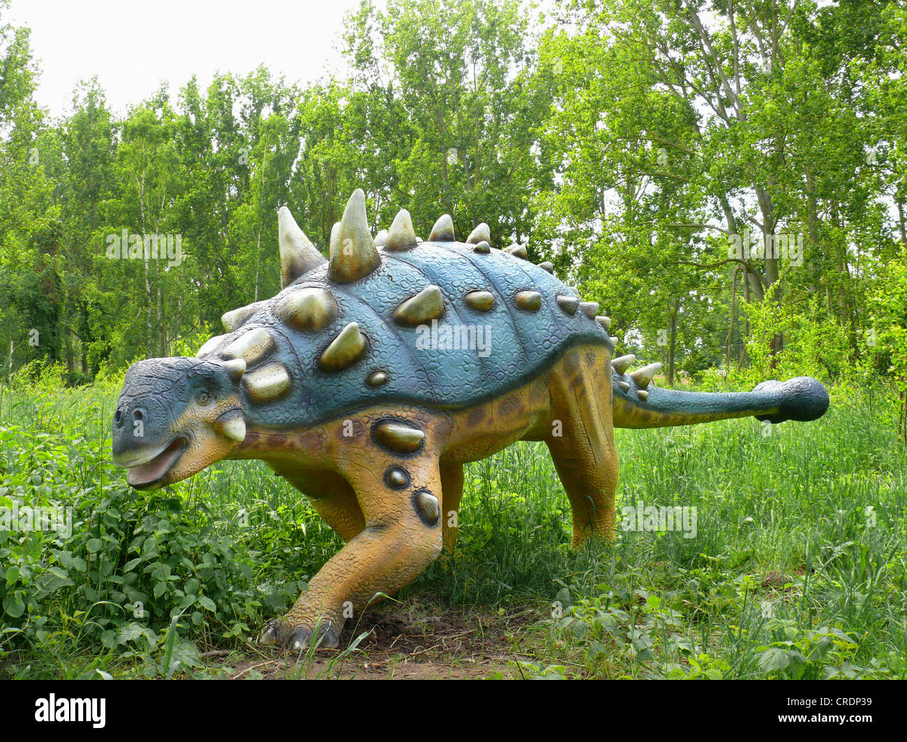 Euoplocephalus Euoplocephalus Stockfotos und -bilder Kaufen - Alamy