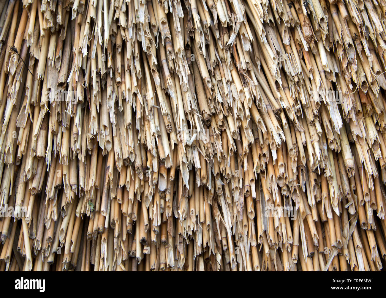 Straw texture -Fotos und -Bildmaterial in hoher Auflösung – Alamy