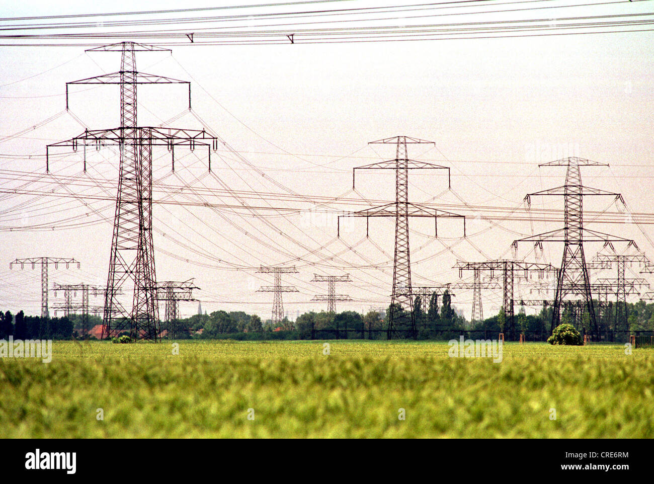 Viele Strommasten in Landschaft Ahrensfelde in Berlin, Deutschland ...