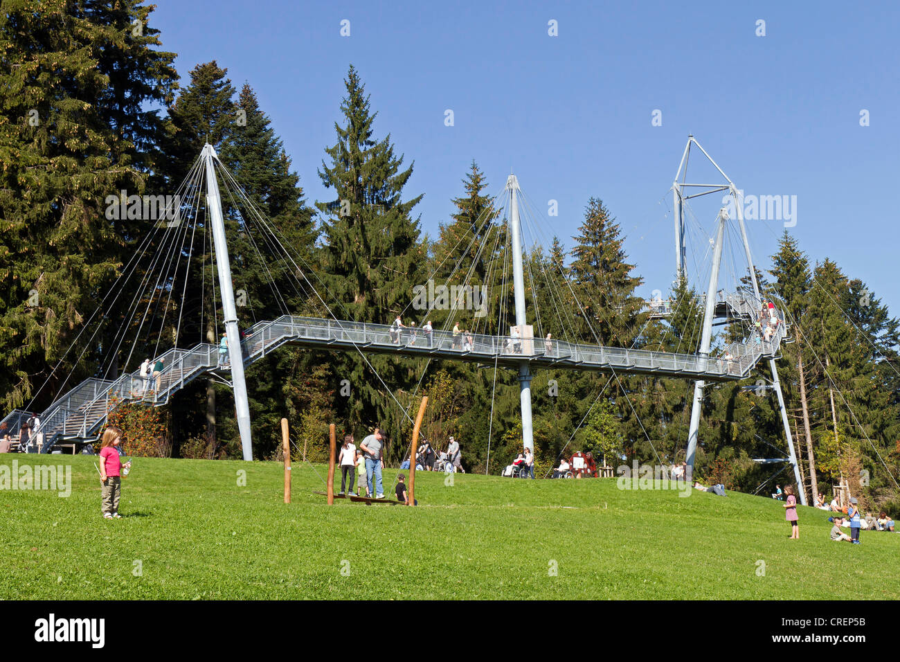 Baumwipfelpfad Trail, Skywalk Allgäu in Scheidegg, Allgäu, Bayern ...