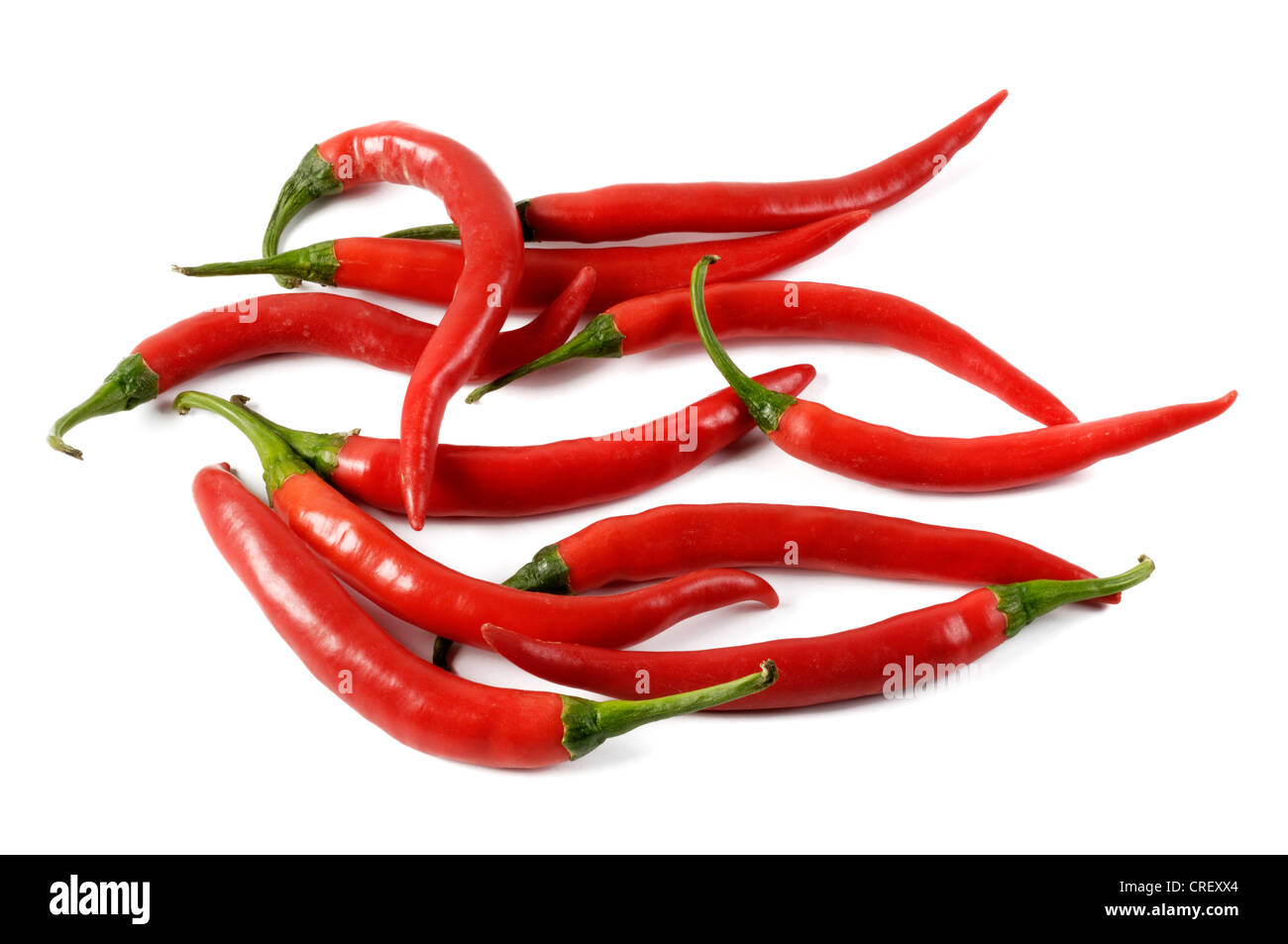 Roter Pfeffer, Paprika (Capsicum Annuum), Paprika paprika ...