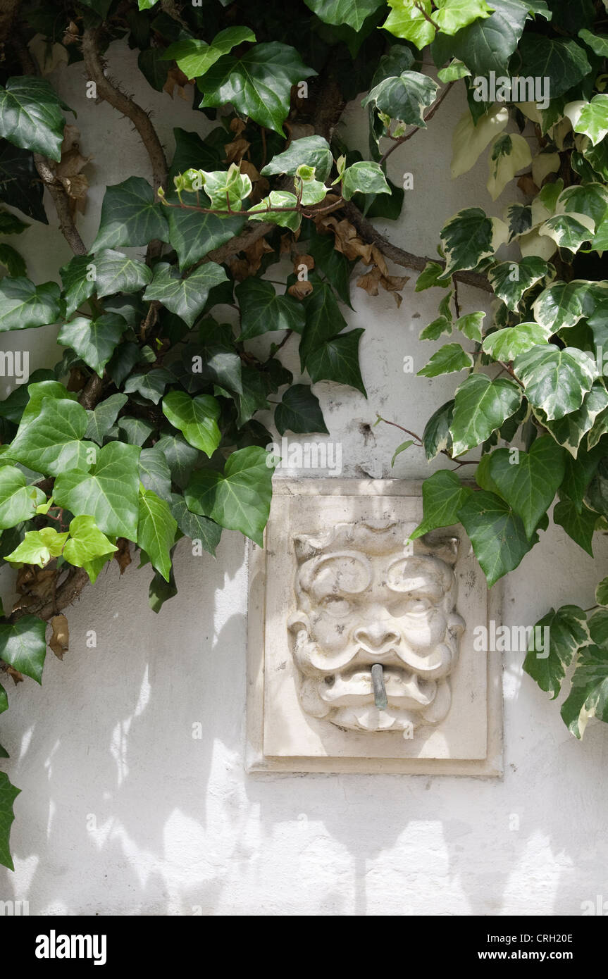 Nasser englischer efeu -Fotos und -Bildmaterial in hoher Auflösung – Alamy