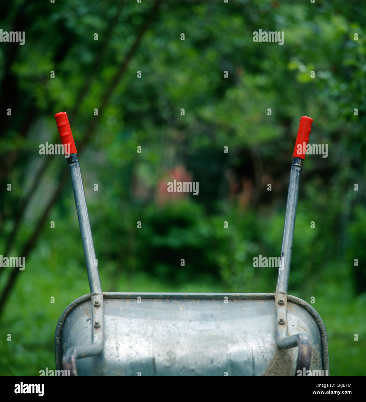 Rote griffe -Fotos und -Bildmaterial in hoher Auflösung – Alamy
