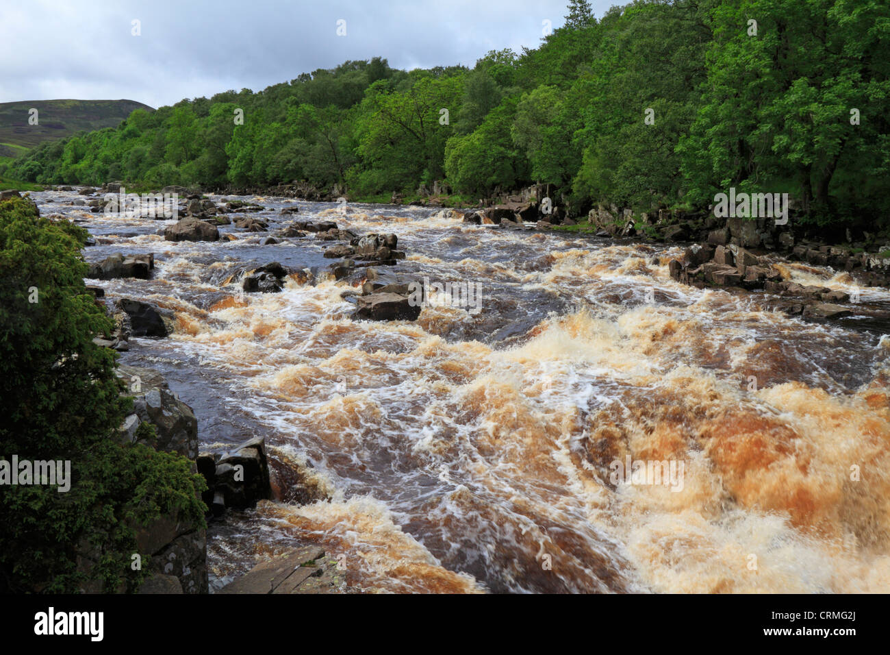 River tees -Fotos und -Bildmaterial in hoher Auflösung – Alamy