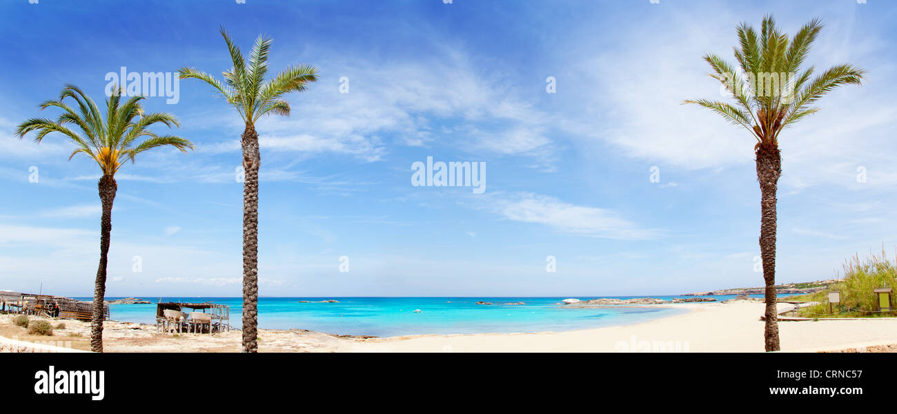 ELS Pujols Formentera Strand mit türkisfarbenem Wasser und Palmen in ...