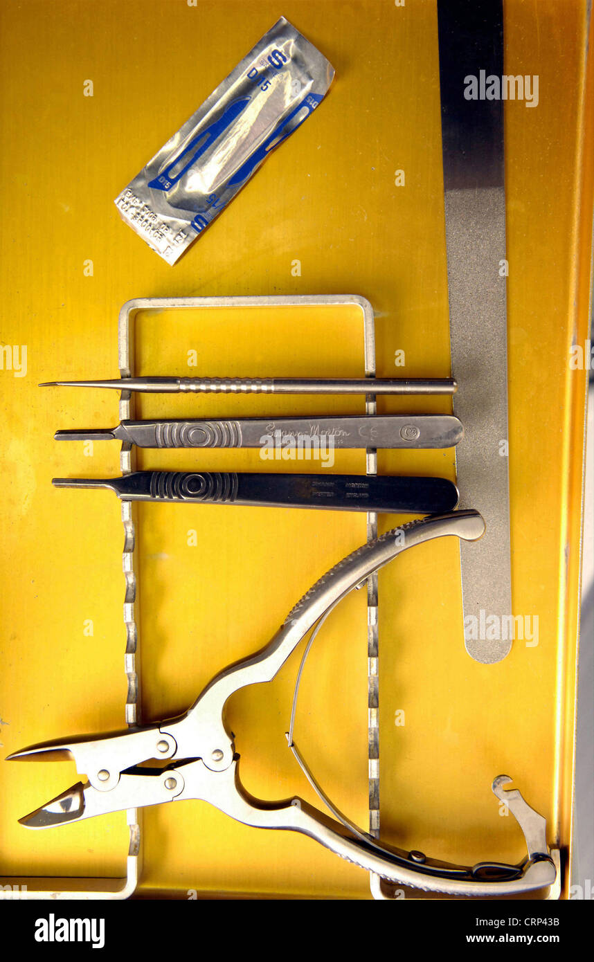 Podologie zehen -Fotos und -Bildmaterial in hoher Auflösung – Alamy