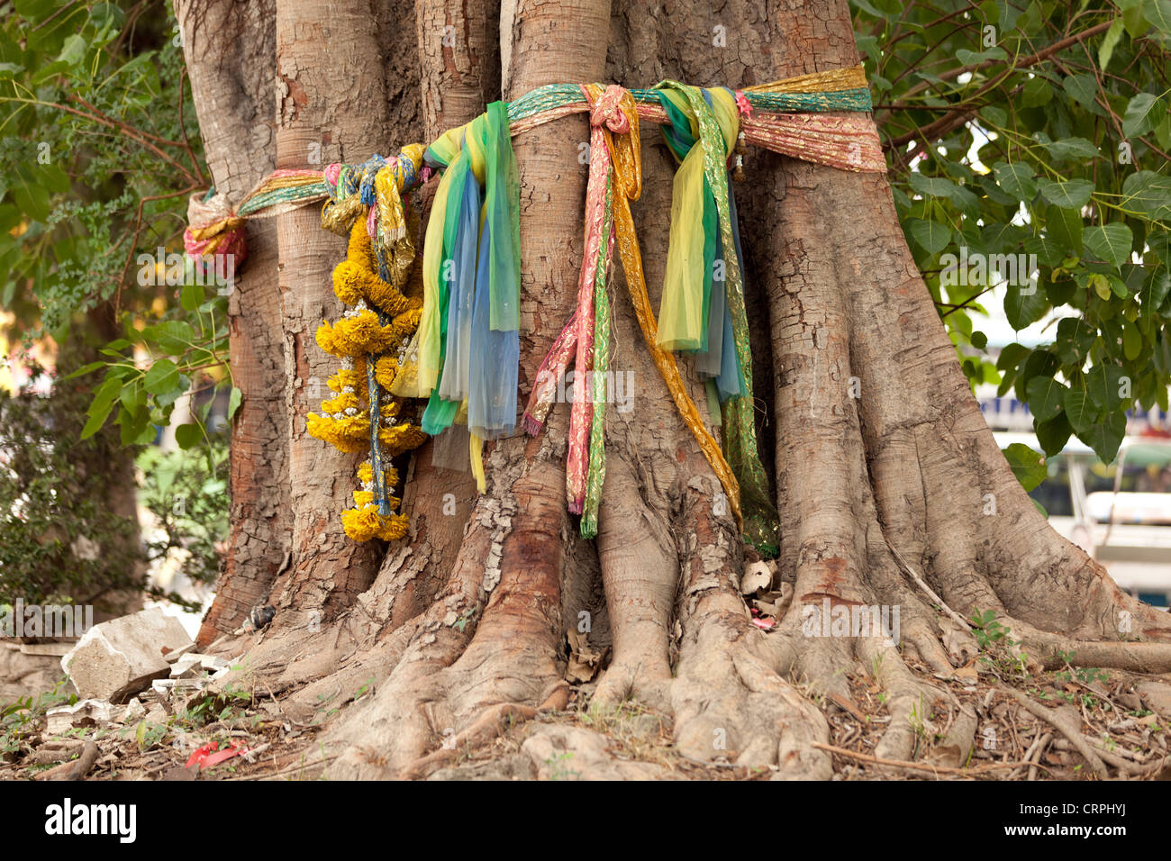Bodhi-Baum mit buddhistischen Flagge religiösen Symbolen, Thailand ...