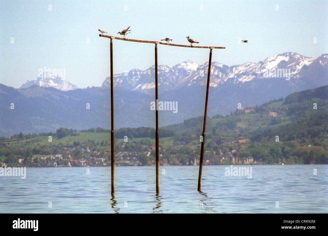 Switzerland europe arbon thurgau lake -Fotos und -Bildmaterial in hoher ...