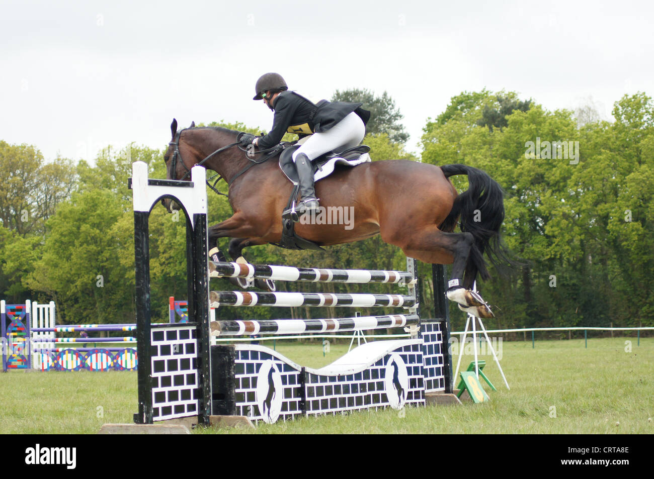 Pferd und reiter springen -Fotos und -Bildmaterial in hoher Auflösung ...