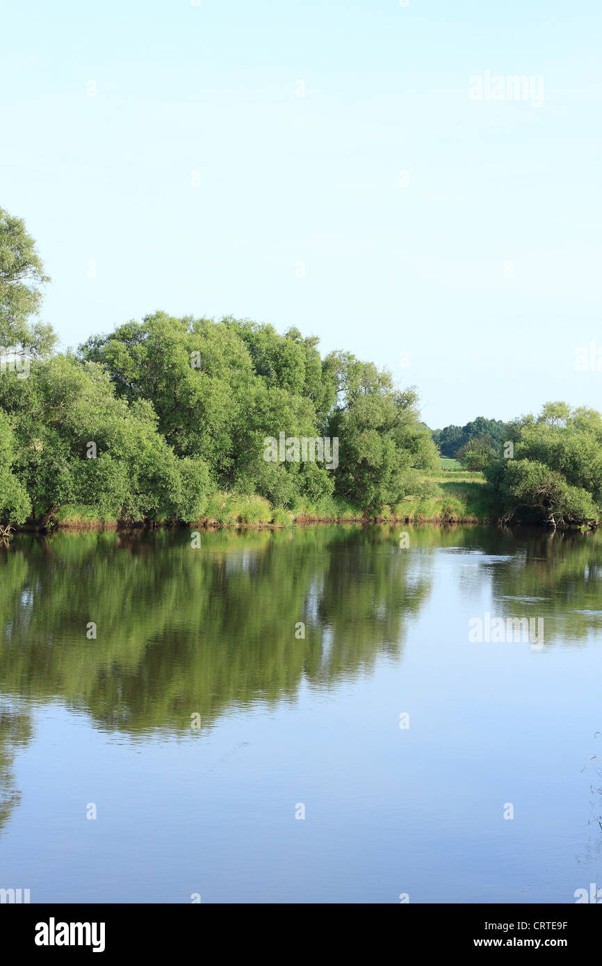Mulde Fluss im Sommer in Sachsen-Anhalt / Deutschland Stockfotografie ...