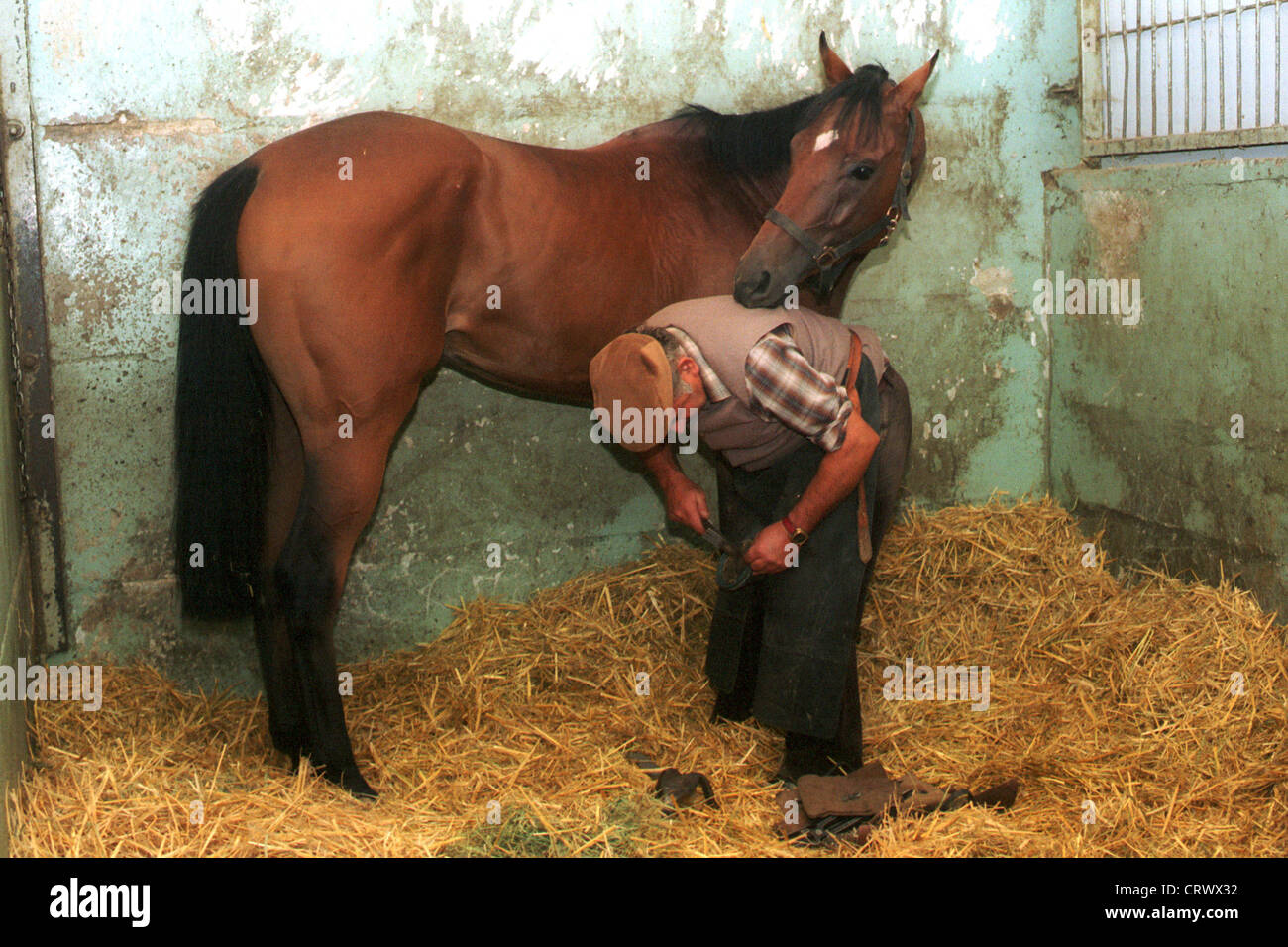 Ein Hufschmied bei der Arbeit auf dem Pferd Stockfotografie - Alamy