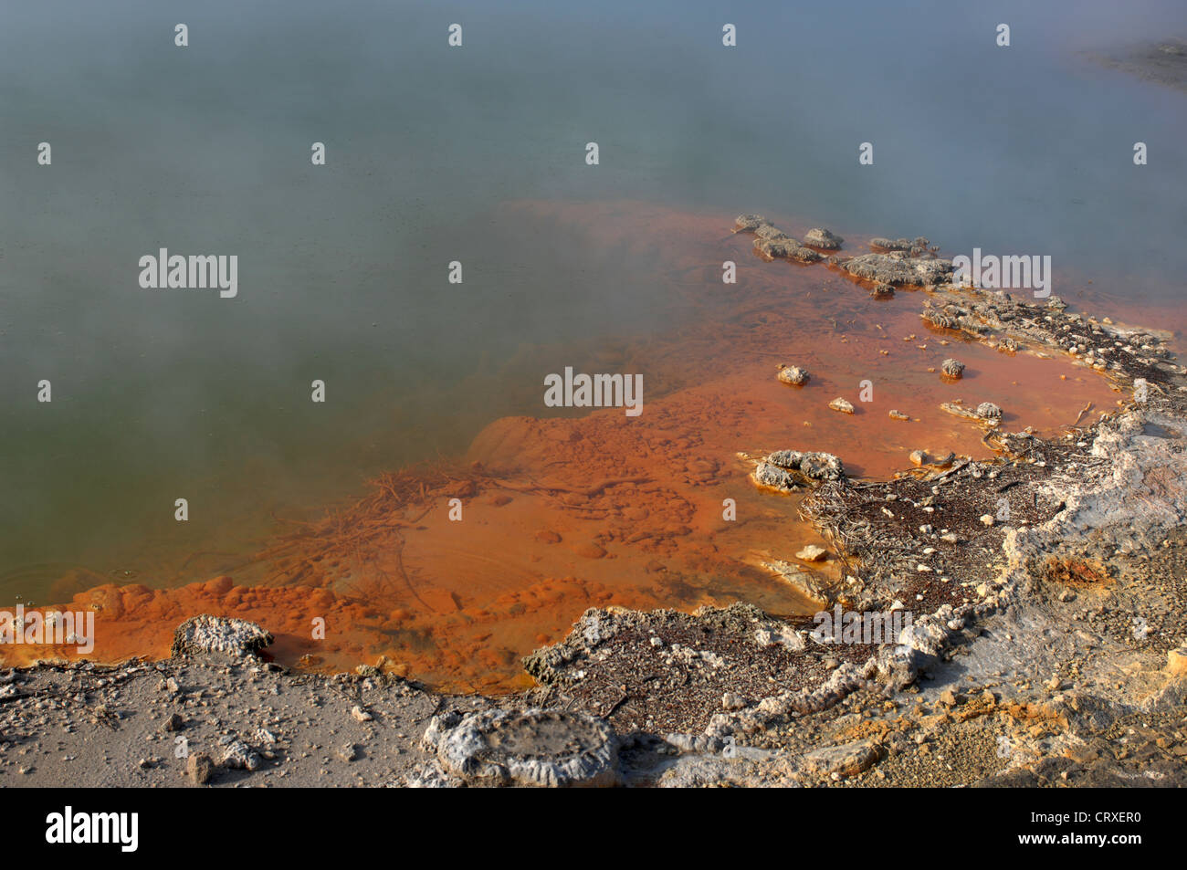 Champagne Pool, Wai-O-Tapu Thermal Wonderland, New Zealand ...