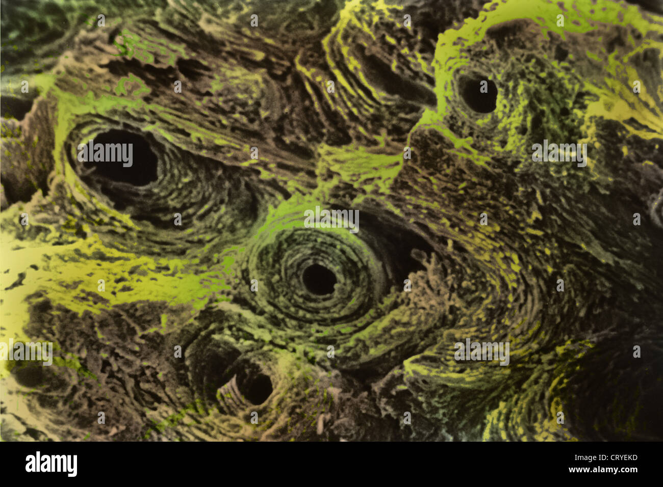 Havers System Stockfotos und -bilder Kaufen - Alamy