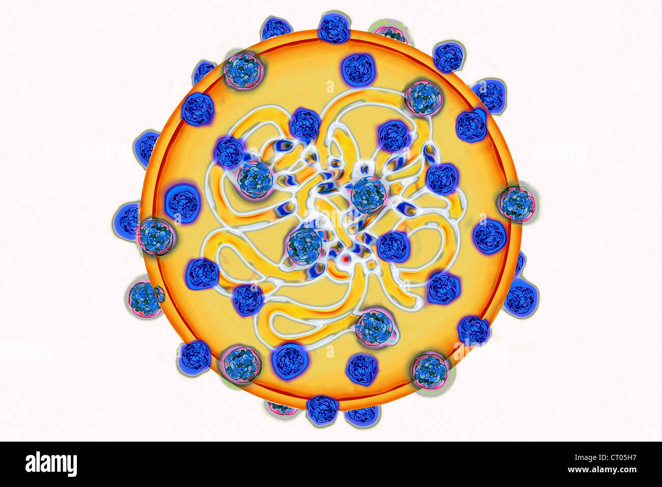 Pneumovirus infektion -Fotos und -Bildmaterial in hoher Auflösung – Alamy