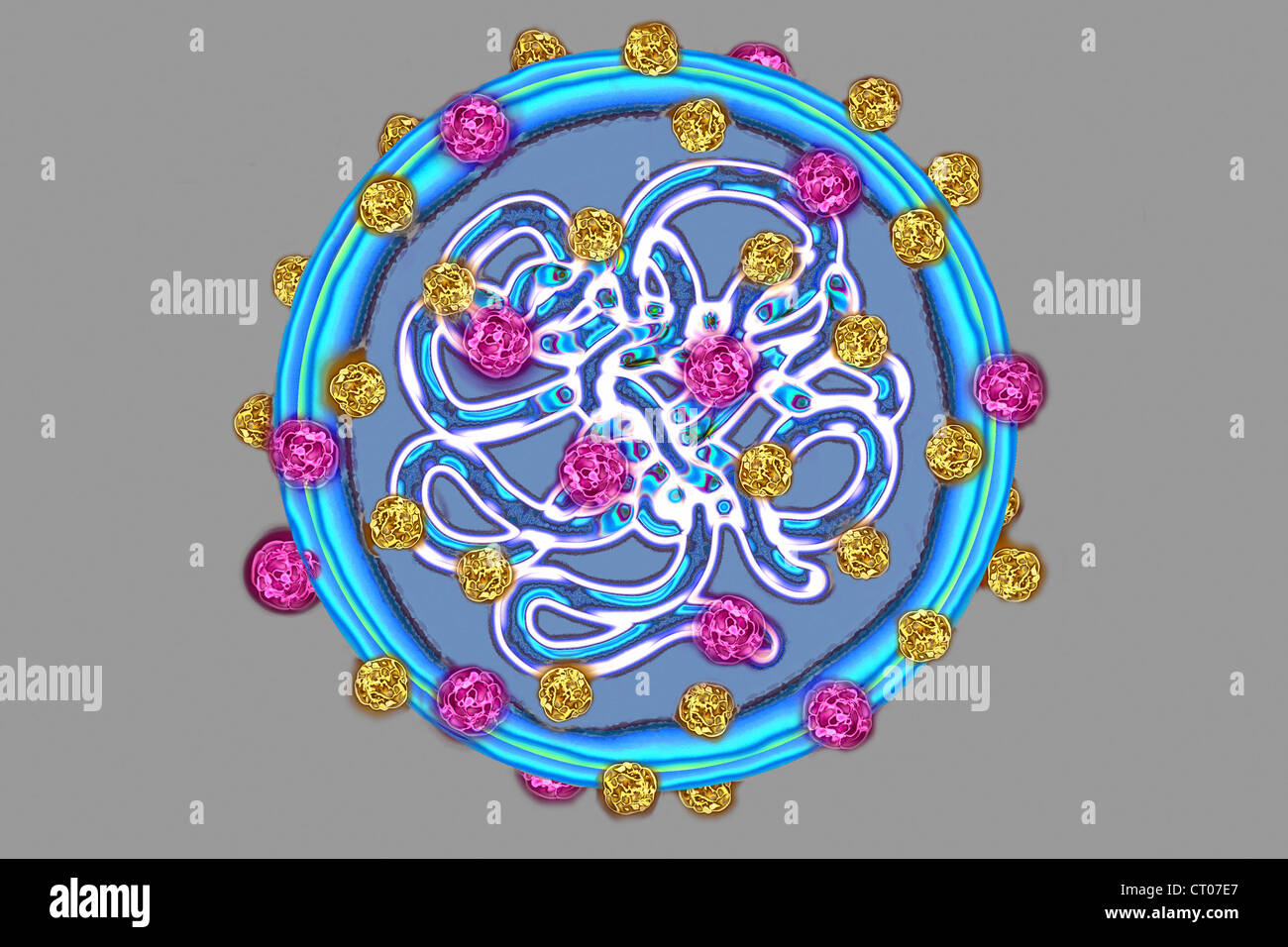 Pneumovirus infektion -Fotos und -Bildmaterial in hoher Auflösung – Alamy