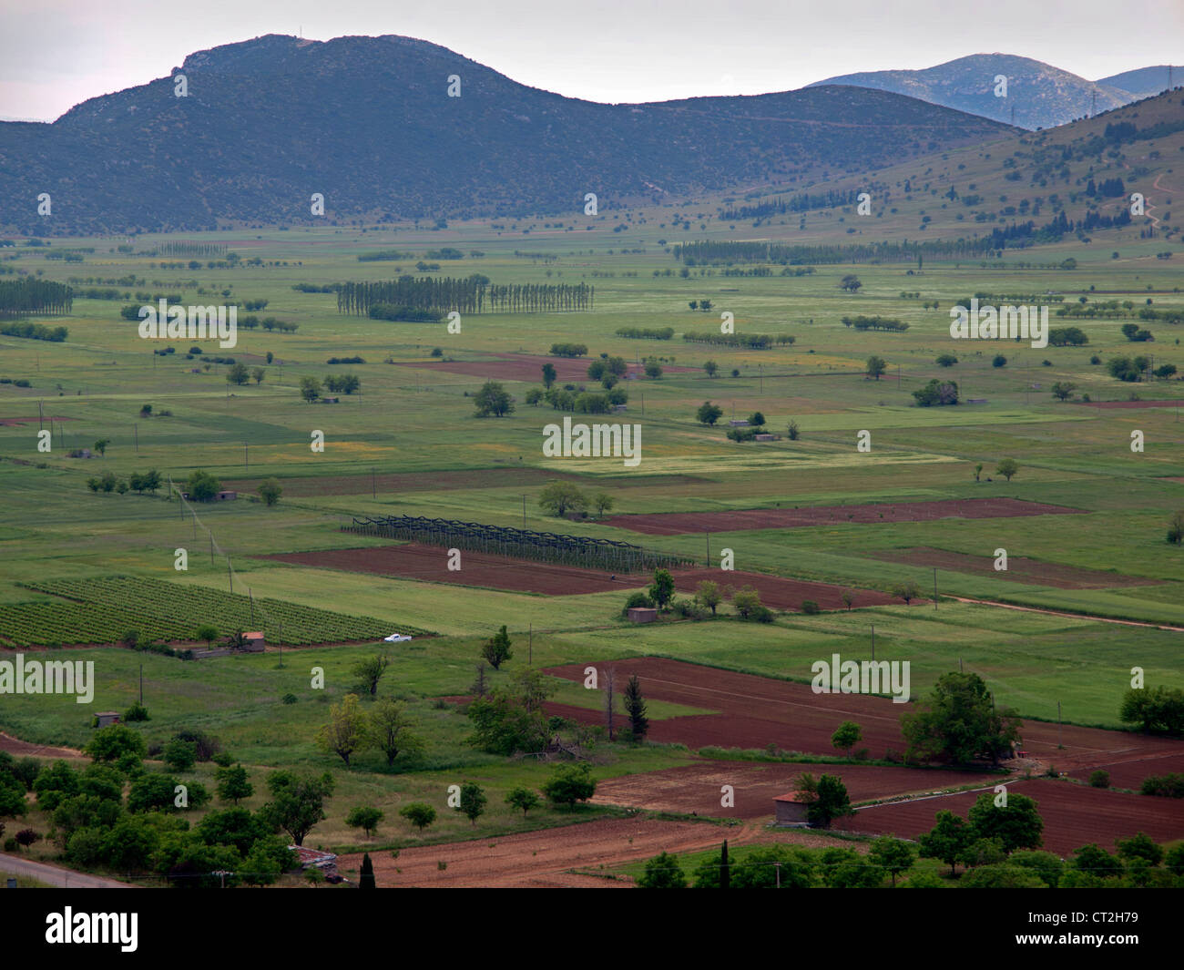 Griechische landwirtschaft -Fotos und -Bildmaterial in hoher Auflösung ...