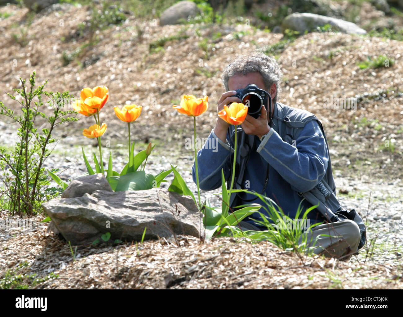Oestergaard -Fotos und -Bildmaterial in hoher Auflösung – Alamy