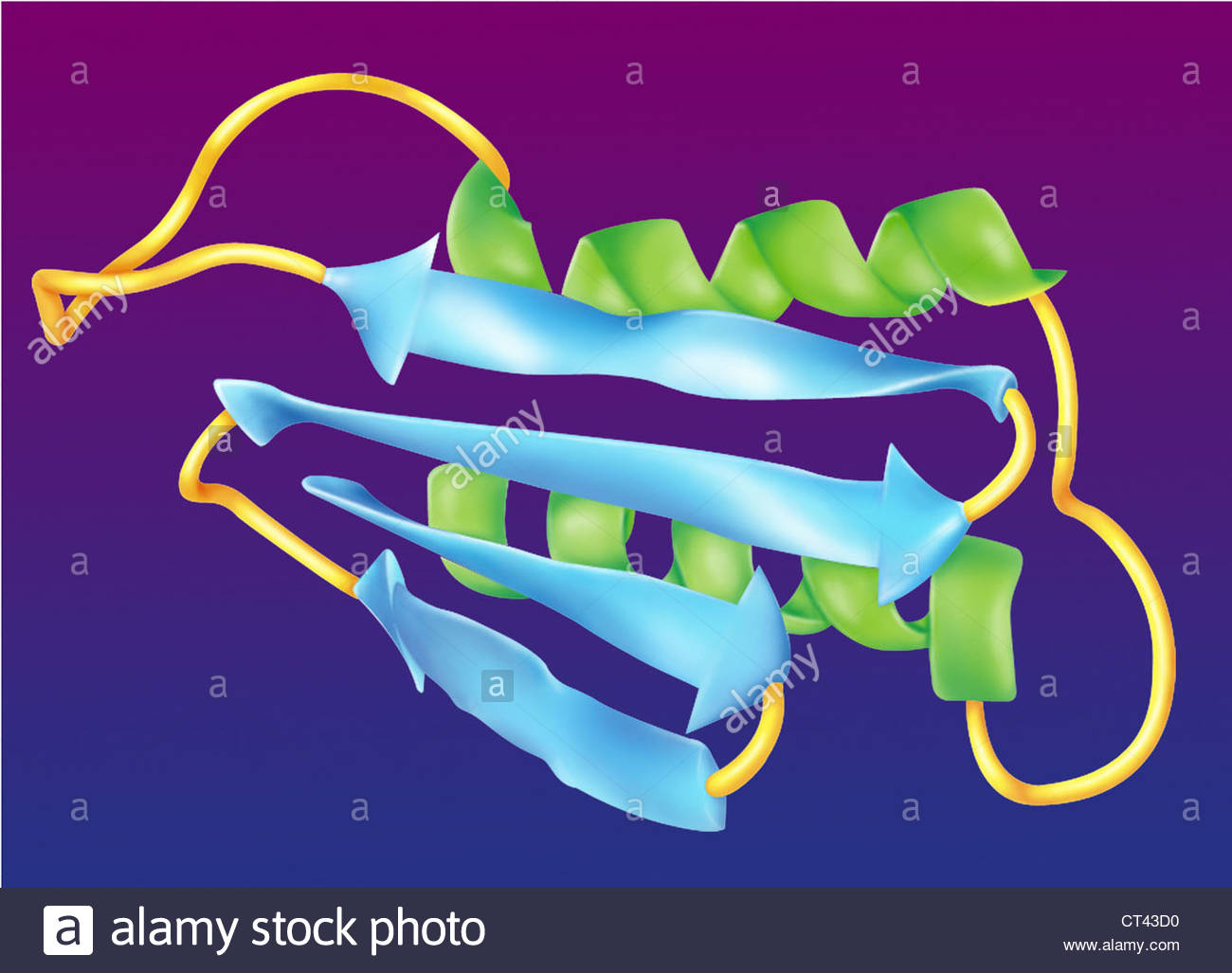 Bovine Spongiform Encephalopathy Stockfotos und -bilder Kaufen - Alamy