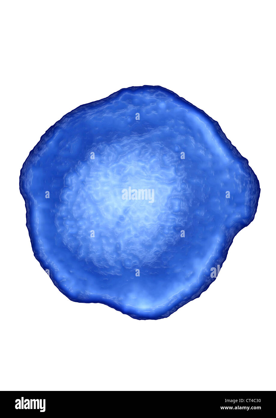 Varicella zoster virus -Fotos und -Bildmaterial in hoher Auflösung – Alamy