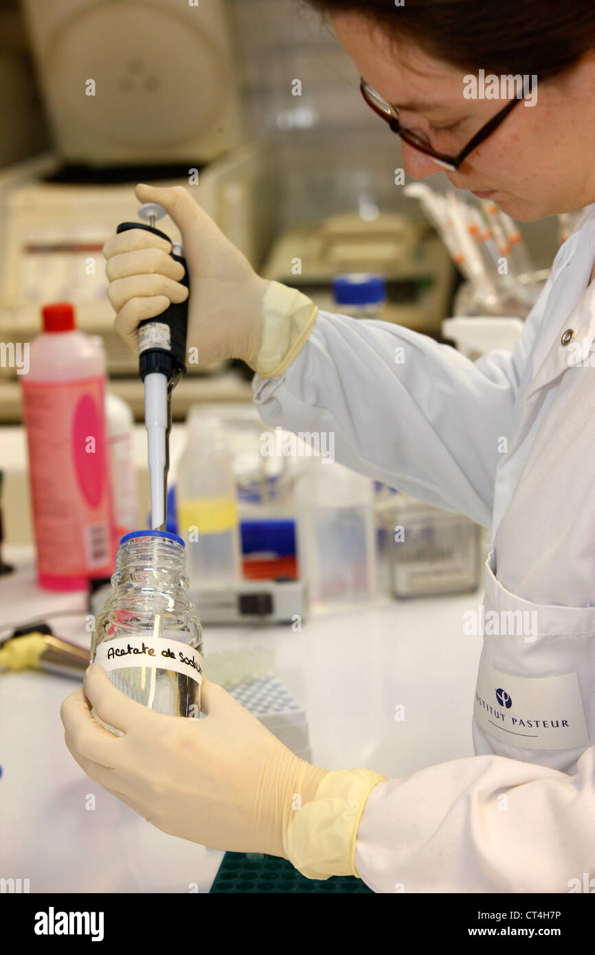 Medizinische virologie -Fotos und -Bildmaterial in hoher Auflösung – Alamy