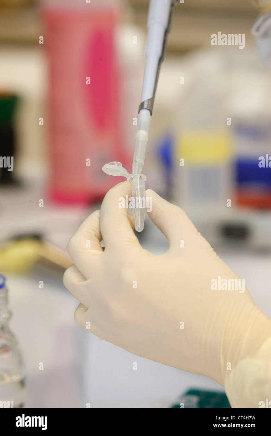 Medizinische virologie -Fotos und -Bildmaterial in hoher Auflösung – Alamy