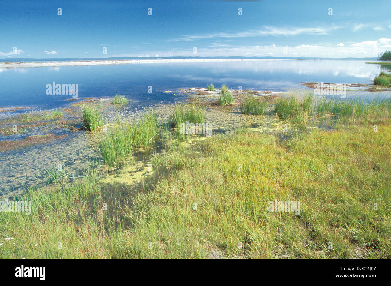 Hovsgol nationalpark -Fotos und -Bildmaterial in hoher Auflösung – Alamy