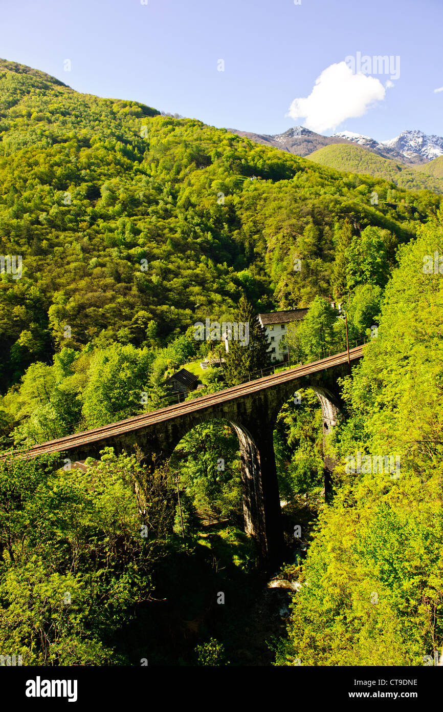 Alpen, Ponte Brolla Schlucht am Fluss Maggia, in der Nähe von Tegna ...