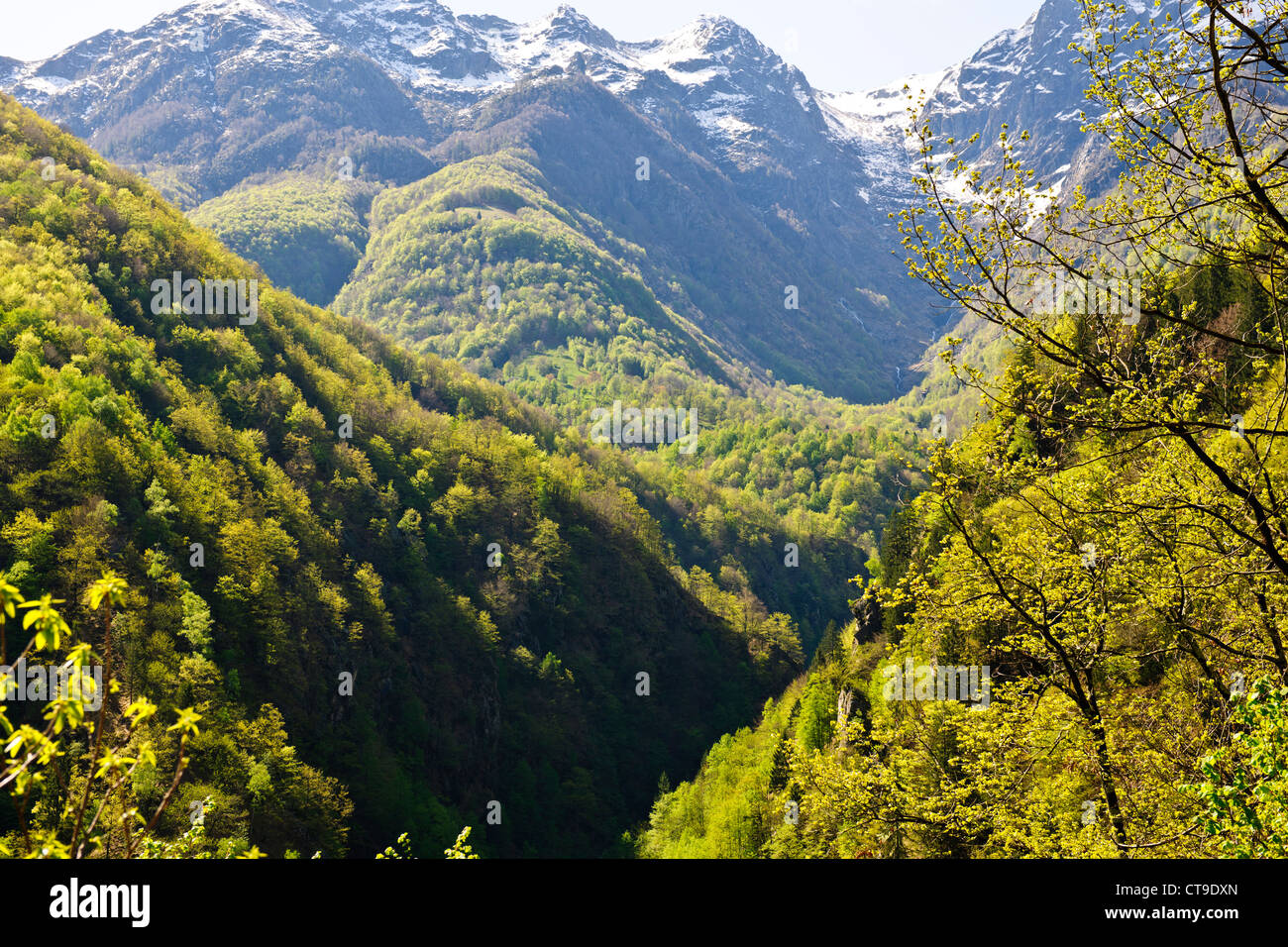 Viadukt ponte brolla -Fotos und -Bildmaterial in hoher Auflösung – Alamy