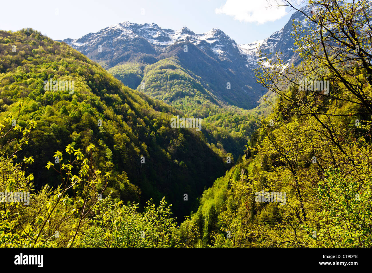 Alpen, Ponte Brolla Schlucht am Fluss Maggia, in der Nähe von Tegna ...