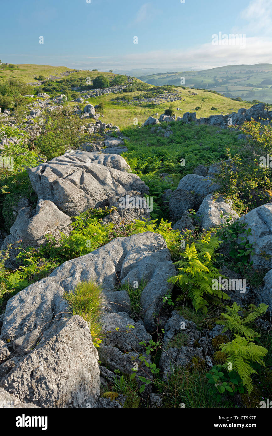 Holme cumbria -Fotos und -Bildmaterial in hoher Auflösung – Alamy