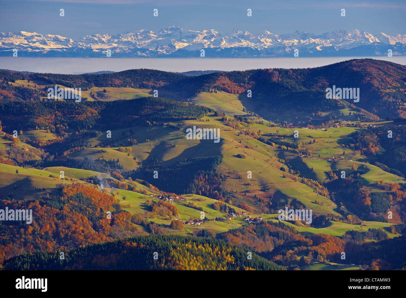 Blick vom Belchen Berg in Richtung der Schweizer Alpen, Herbst, südlichen Teil des Schwarzwald ...