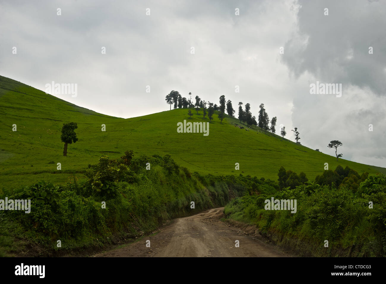 Landschaft der Demokratischen Republik Kongo Stockfotografie - Alamy