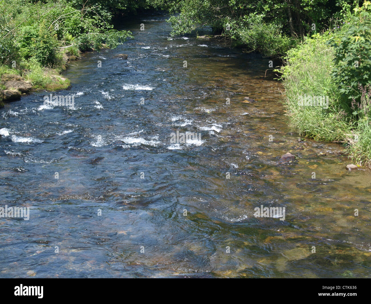 Fluss "Weißen Regen" Bayerischer Wald Deutschland / Fluss "Weisser ...