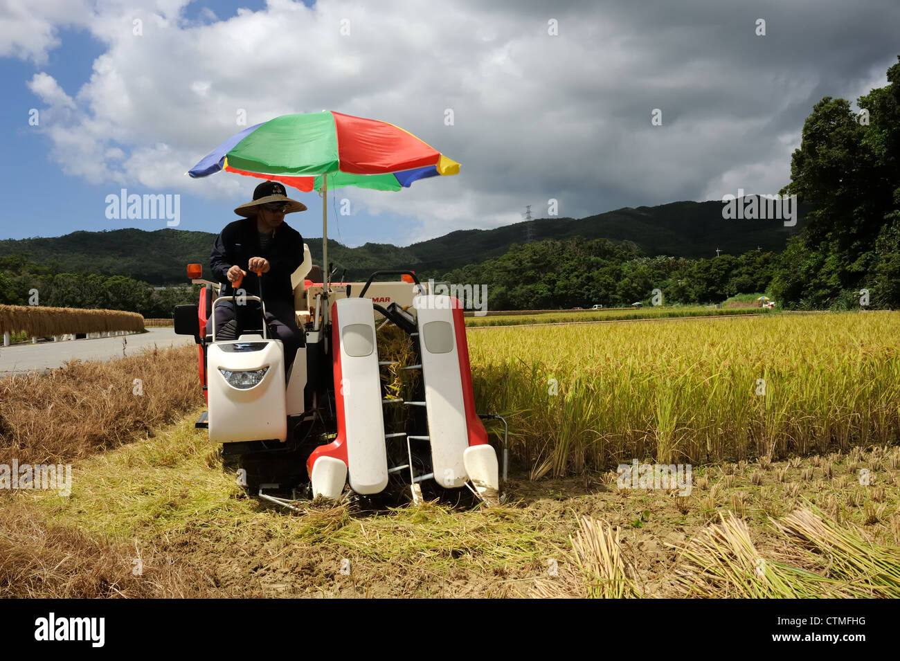 Reis schneidender bauer -Fotos und -Bildmaterial in hoher Auflösung – Alamy