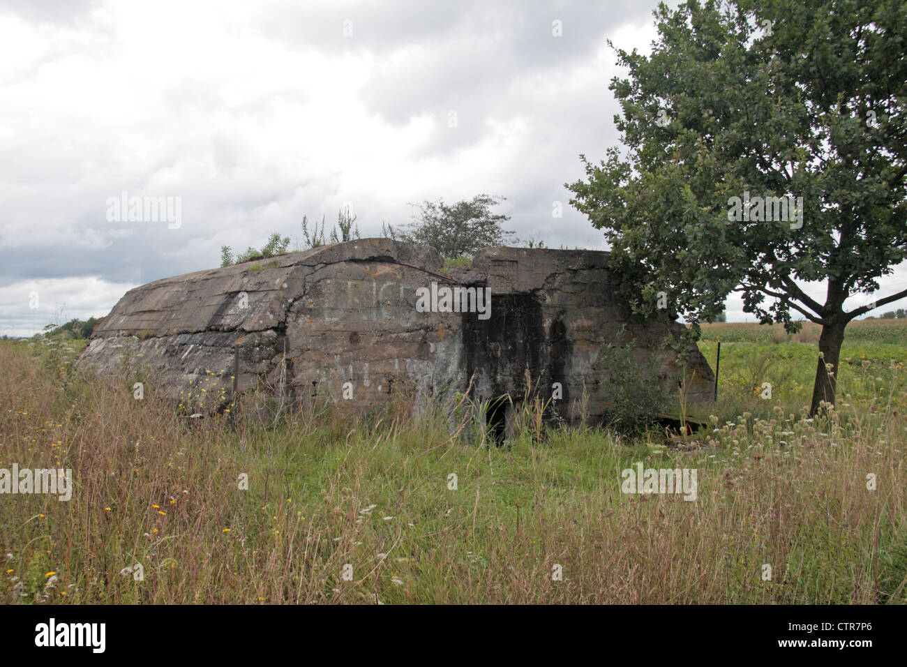 Adolf hitler bunker -Fotos und -Bildmaterial in hoher Auflösung – Alamy