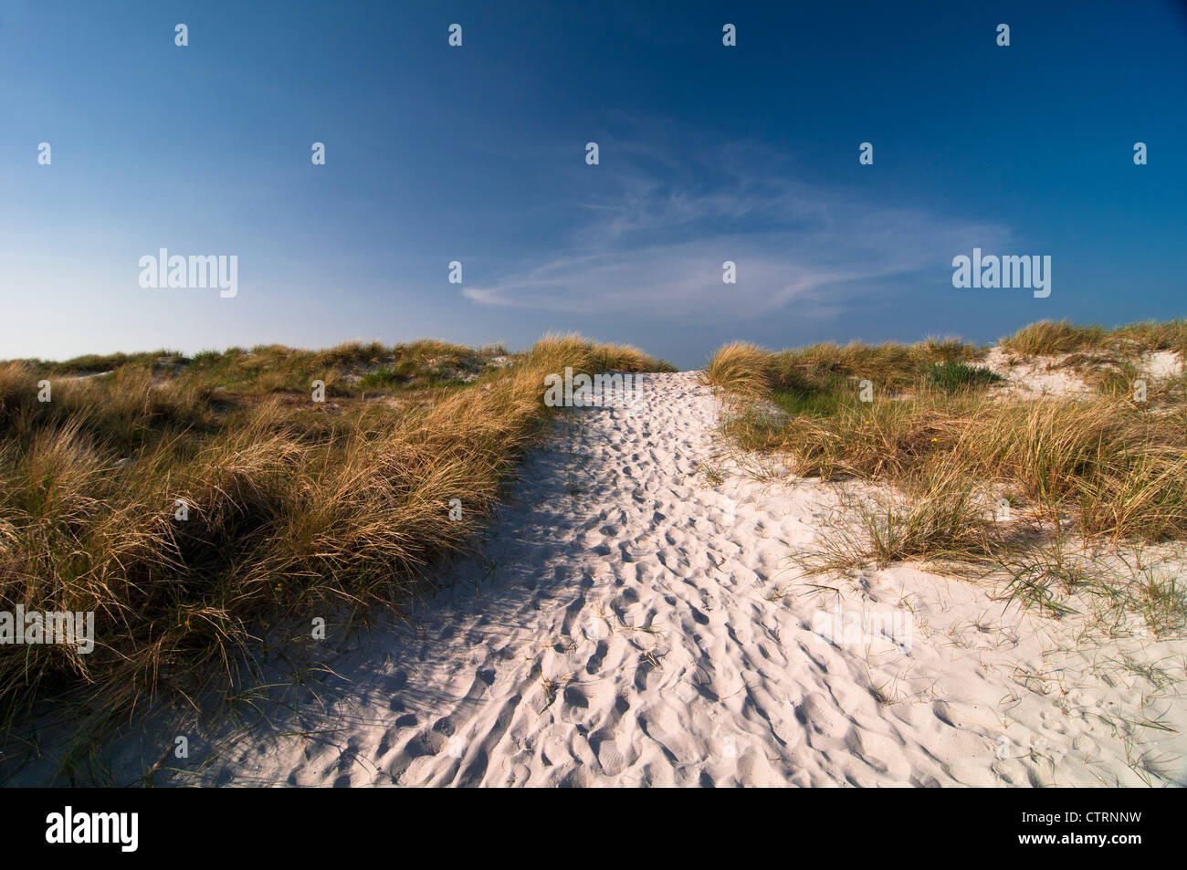 Prerow strand -Fotos und -Bildmaterial in hoher Auflösung – Alamy