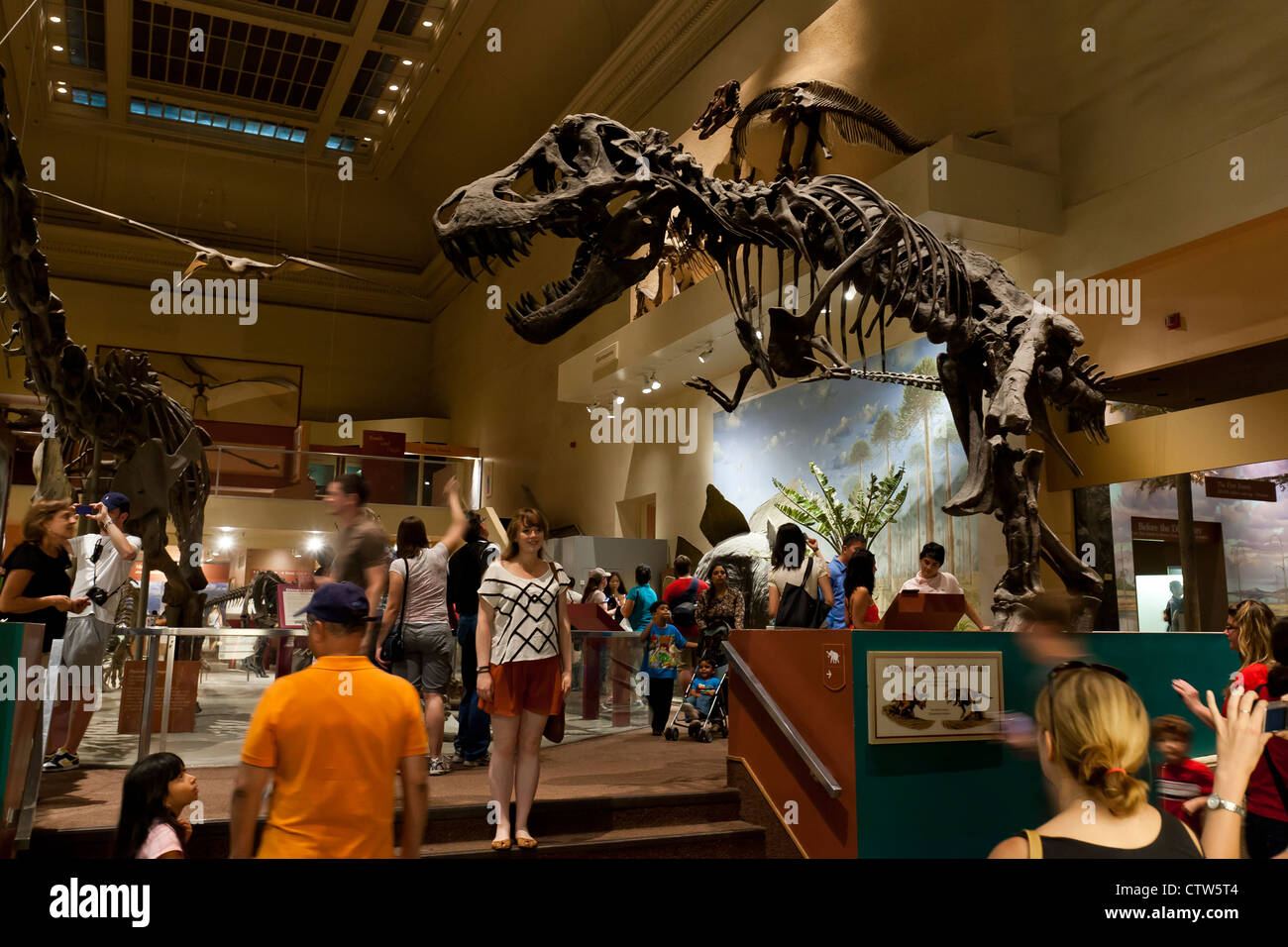 T-Rex-Ausstellung - Natural History Museum, Washington, DC ...