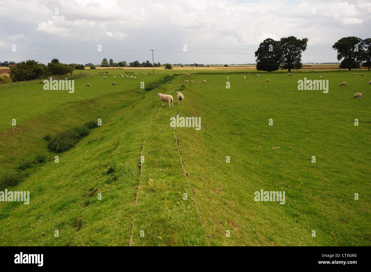 Ancient roman camp -Fotos und -Bildmaterial in hoher Auflösung – Alamy