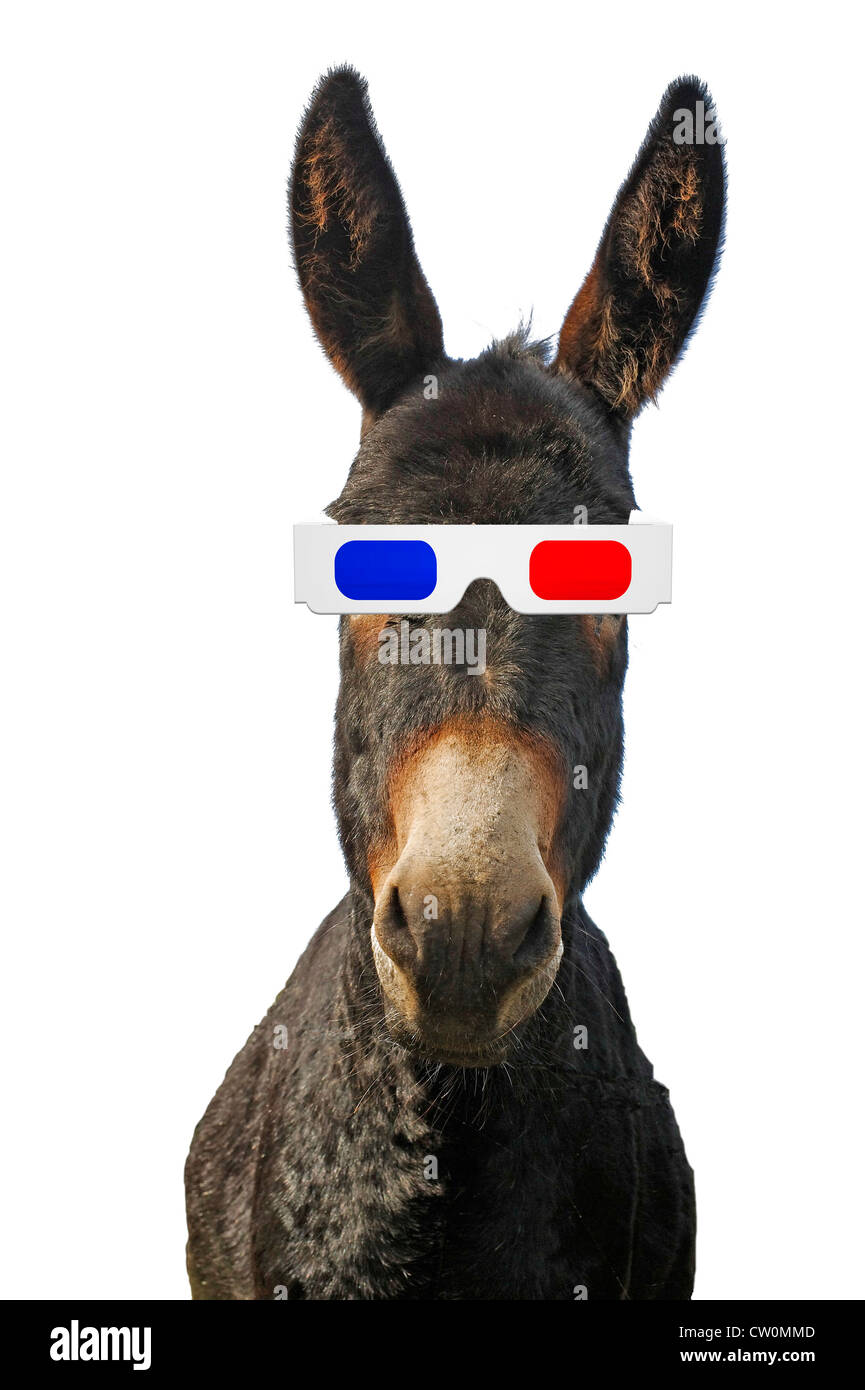 Animal Farm Film Stockfotos und -bilder Kaufen - Alamy