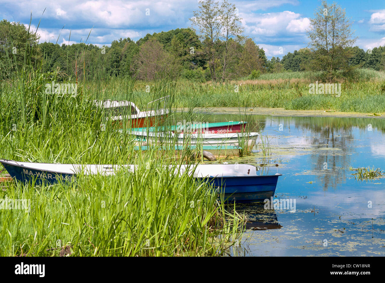 Narew river -Fotos und -Bildmaterial in hoher Auflösung - Seite 2 - Alamy