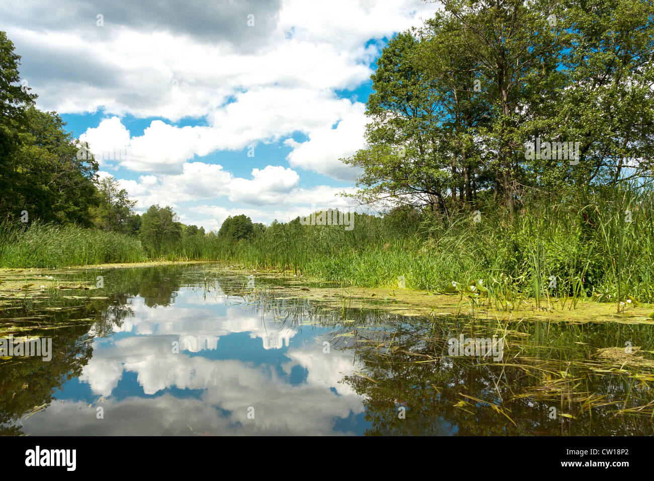 Himmel und Wolken spiegeln sich im Fluss Narew, Polen Stockfotografie ...