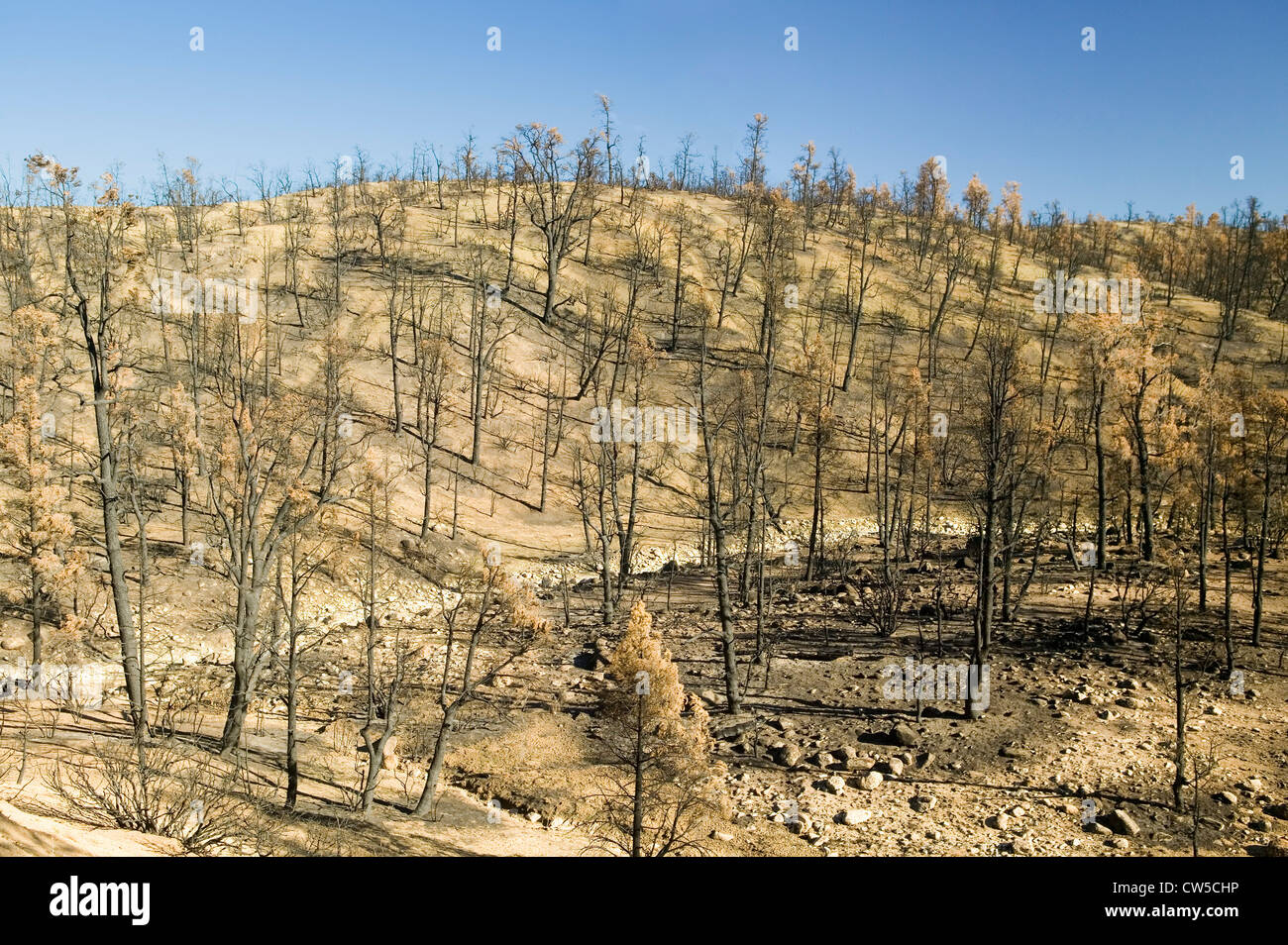 Lockwood valley -Fotos und -Bildmaterial in hoher Auflösung – Alamy