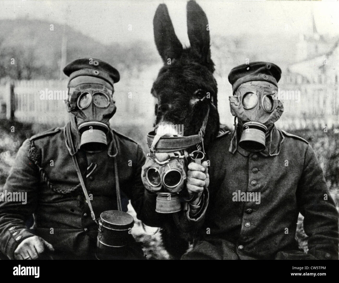 Gas Mask Wwi Stockfotos und -bilder Kaufen - Alamy