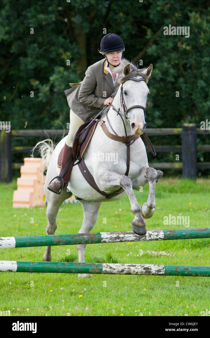 Ein Pferd und Reiter einen Zaun springen, während ein Springturnier ...