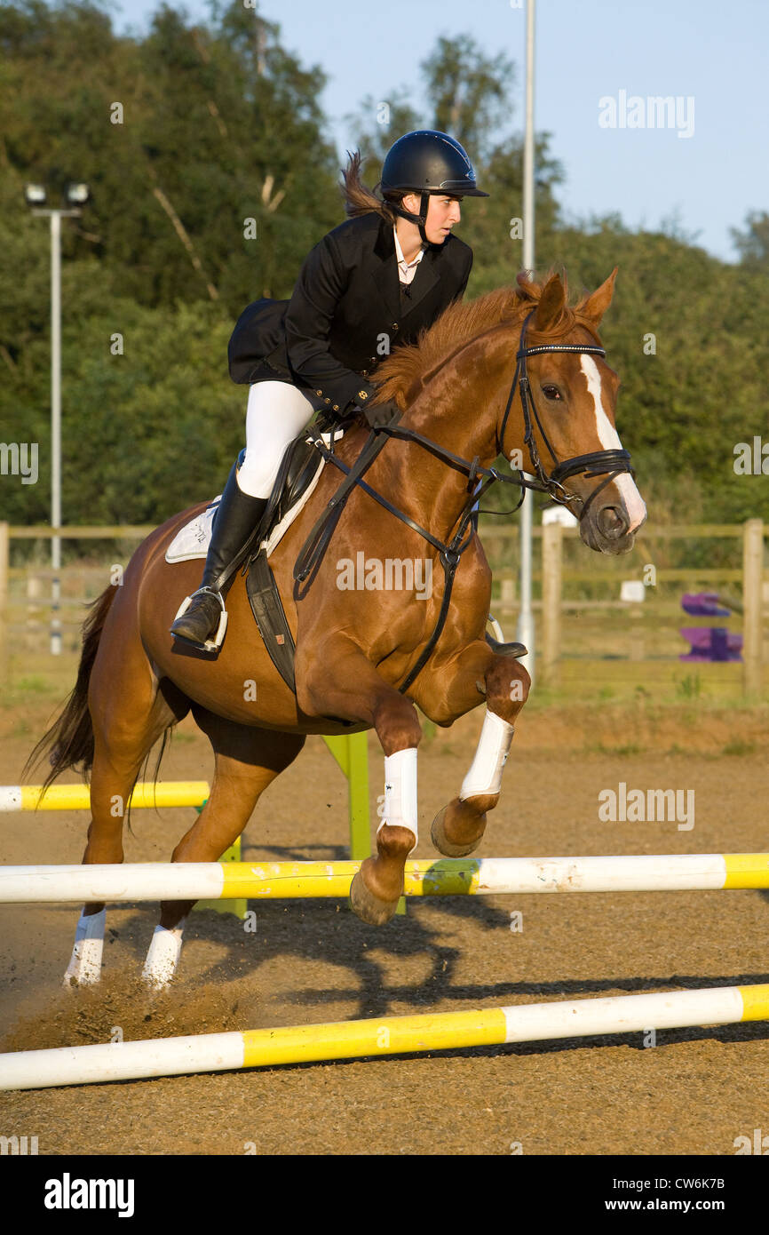 Pferd mädchen reiter zaun springreiten -Fotos und -Bildmaterial in ...
